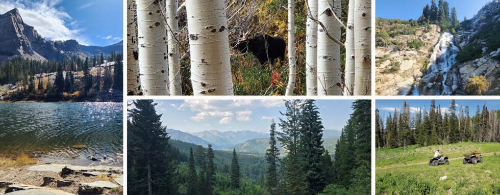 Adventures in the Wasatch Back - Explore Utah